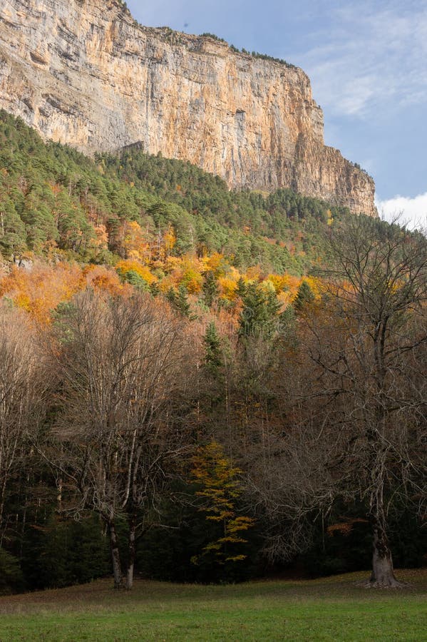 An Autumnal Valley with Orange, Yellow and Green Trees Stock Photo ...