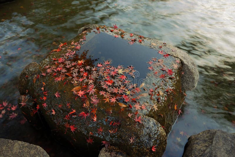 Autumnal zen stock image. Image of leaf, wave, oriental - 11033601