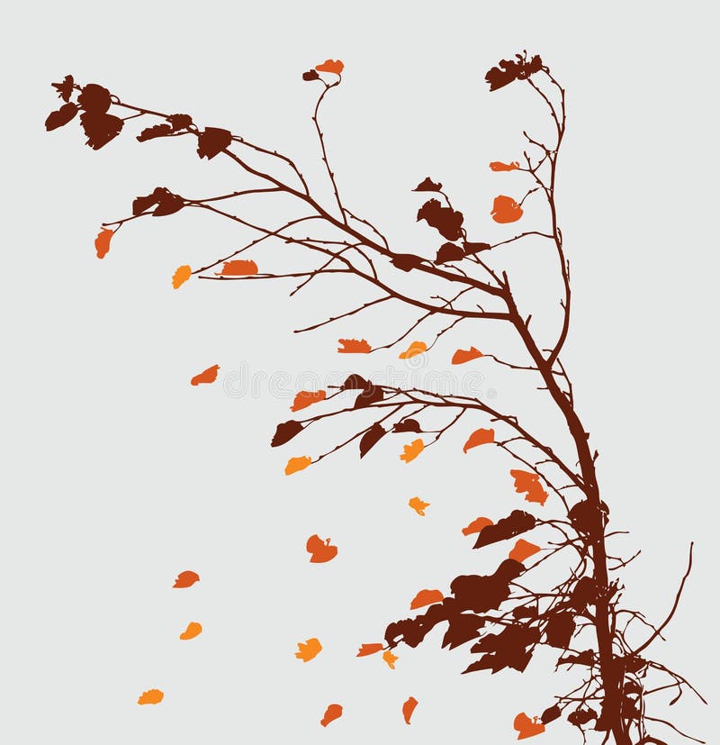 Autumnl Branch Stock Illustrations – 1 Autumnl Branch Stock ...