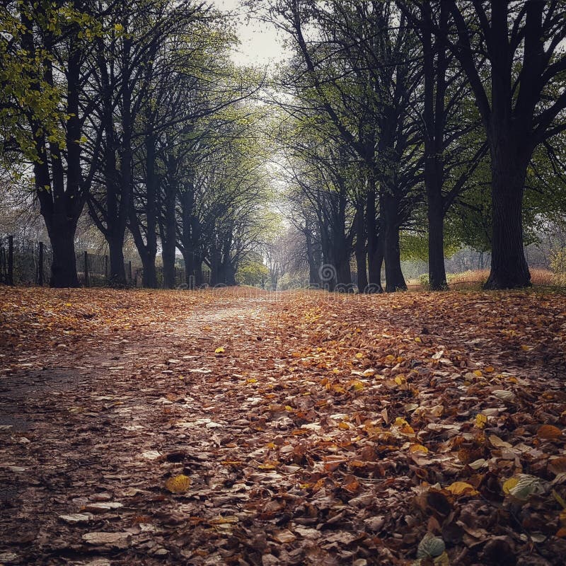 Autumnn Trees with Red and Brown Leaves Stock Photo - Image of trees ...