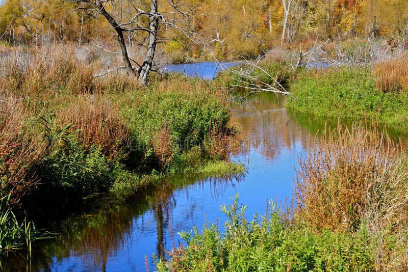 Autunno nella palude immagine stock. Immagine di riflessione - 27241985