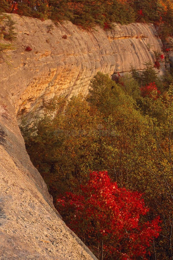 Auxier Ridge stock photo. Image of tree, rock, autumn - 1128214