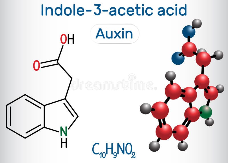 Auxin, Indole-3-acetic Acid IAA, 3-IAA. Structural Chemical Formula and ...