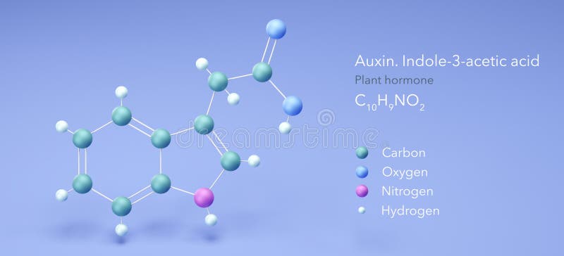 Auxin Molecule, Molecular Structures, Indole-3-acetic Acid, 3d Model ...