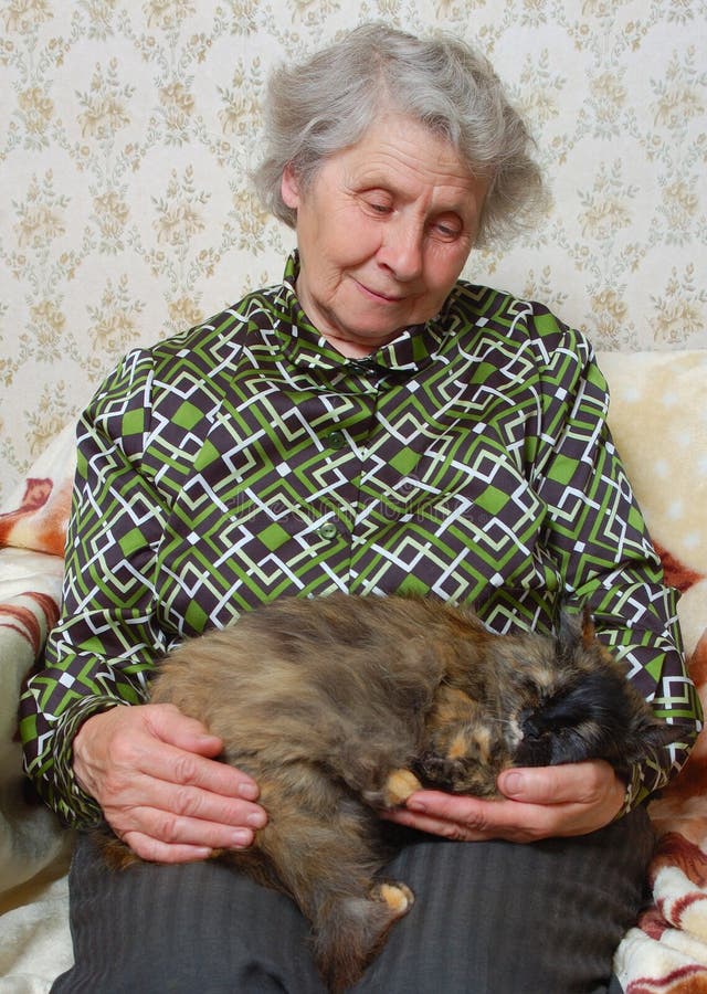 Avó Sentada Com Um Gato Nas Mãos Imagem de Stock - Imagem de gatinho ...