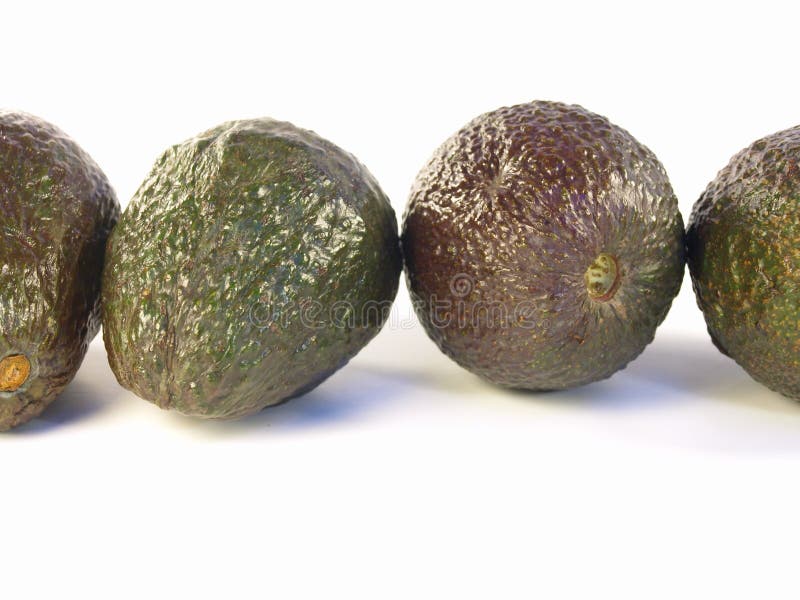 Avacado stock photo. Image of tree, food, tasty, green - 3782476