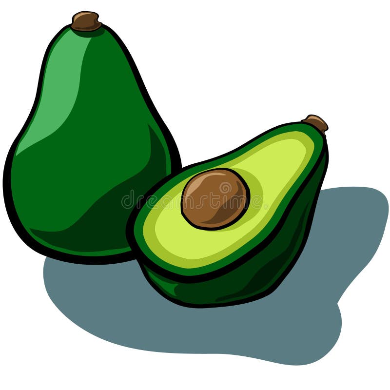 Avacado. Vector Illustration Decorative Design Stock Vector ...