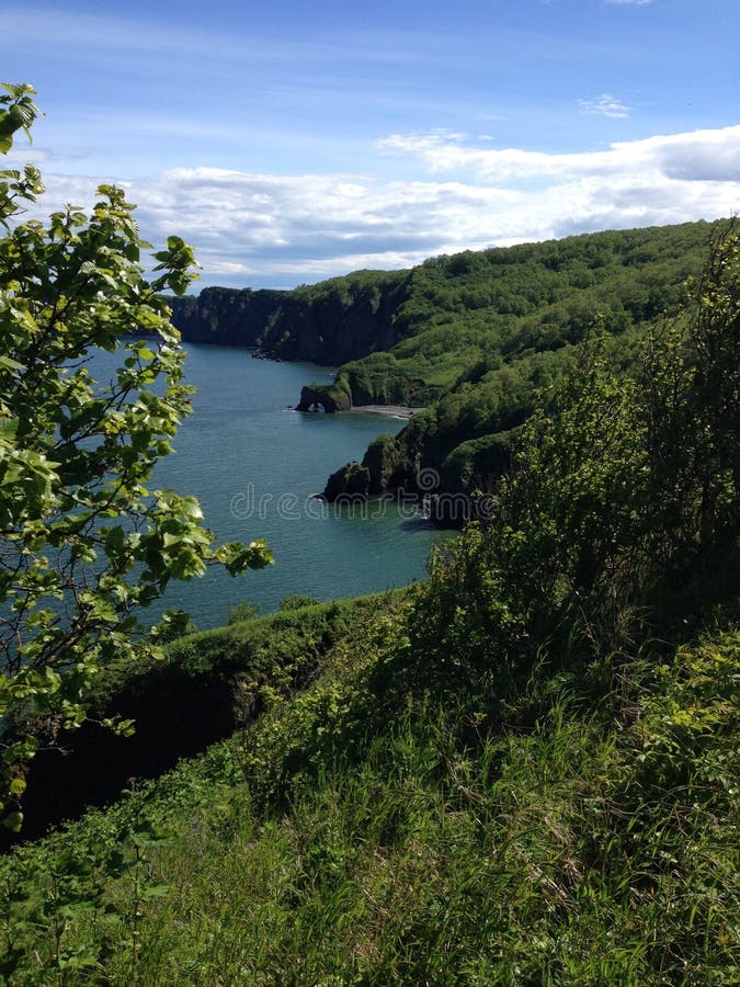 Avacha bay shore stock image. Image of tihaya, grass - 66009277