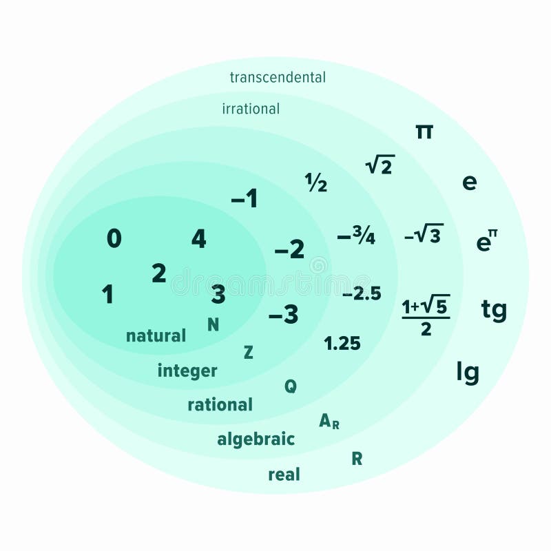 Different Types of Numbers with Examples Stock Vector - Illustration of ...