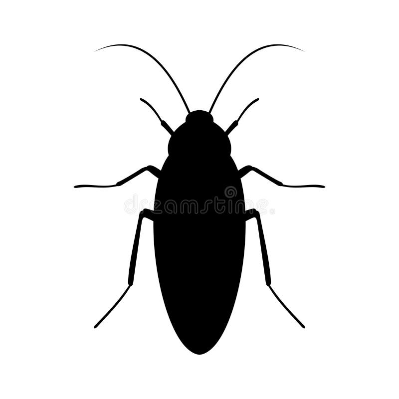 Cockroach stock vector. Illustration of animal, cockroach - 127060648