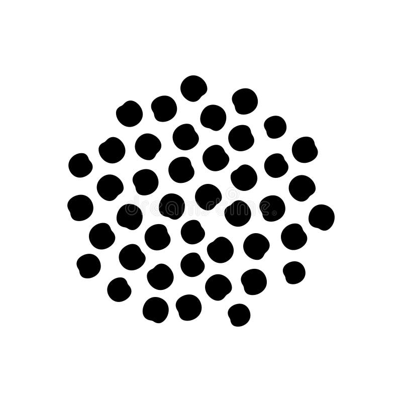 Finger millet seeds stock vector. Illustration of food - 116947817