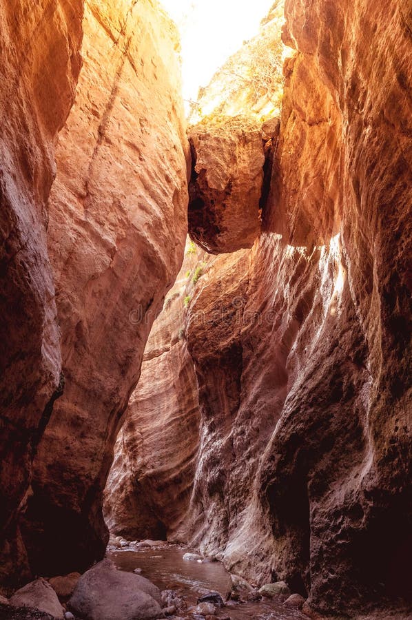 Avakas Gorge - Canyon in Akamas Not Far from Paphos Stock Image - Image ...