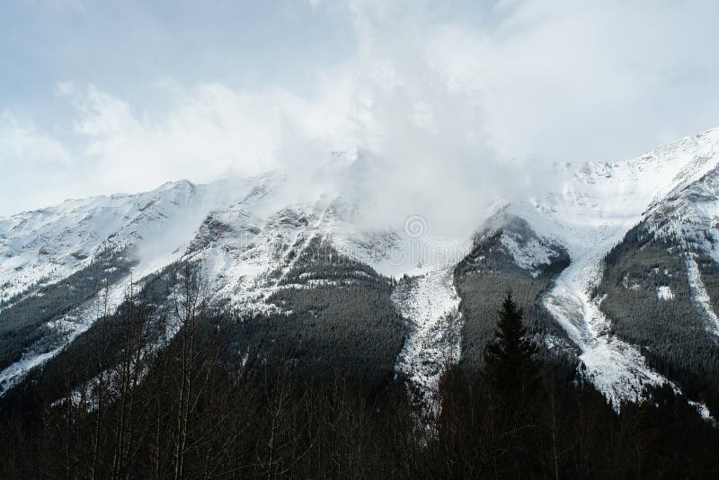 Avalanche area stock image. Image of nature, kananaskis - 4397951