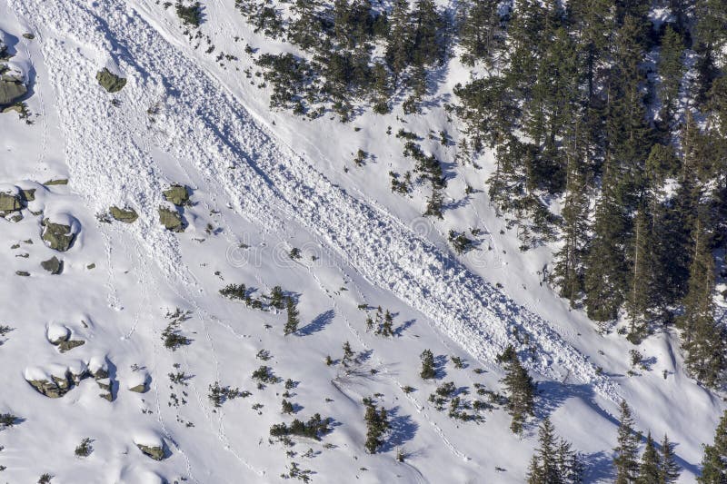 Avalanche Area. View from the Trail To the Valley of Five Polish Ponds ...