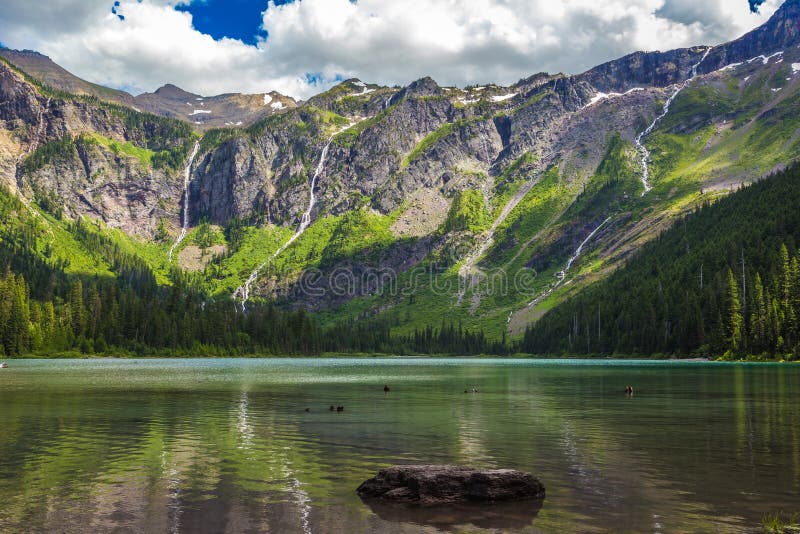 Avalanche Lake in Glacier National Park Stock Photo - Image of forest ...
