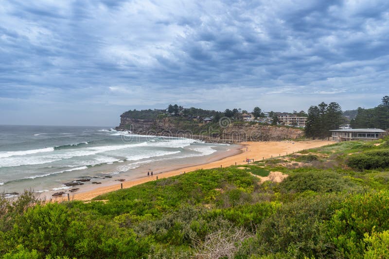 Avalon Beach stock photo. Image of pittwater, beach, australia - 64106220