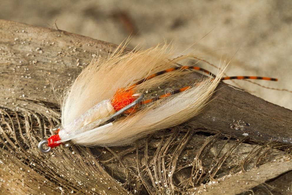 Avalon Bonefish Permit Fly - Fly Fishing Stock Image - Image of crab ...