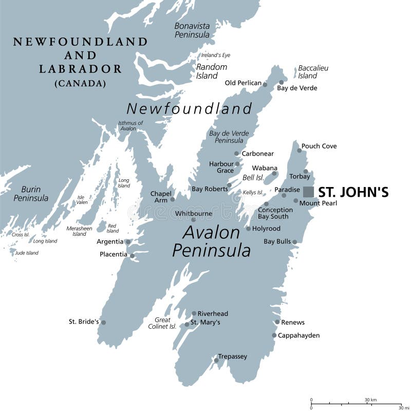 Avalon Peninsula, Portion Newfoundland, Canada, Gray Political Map ...