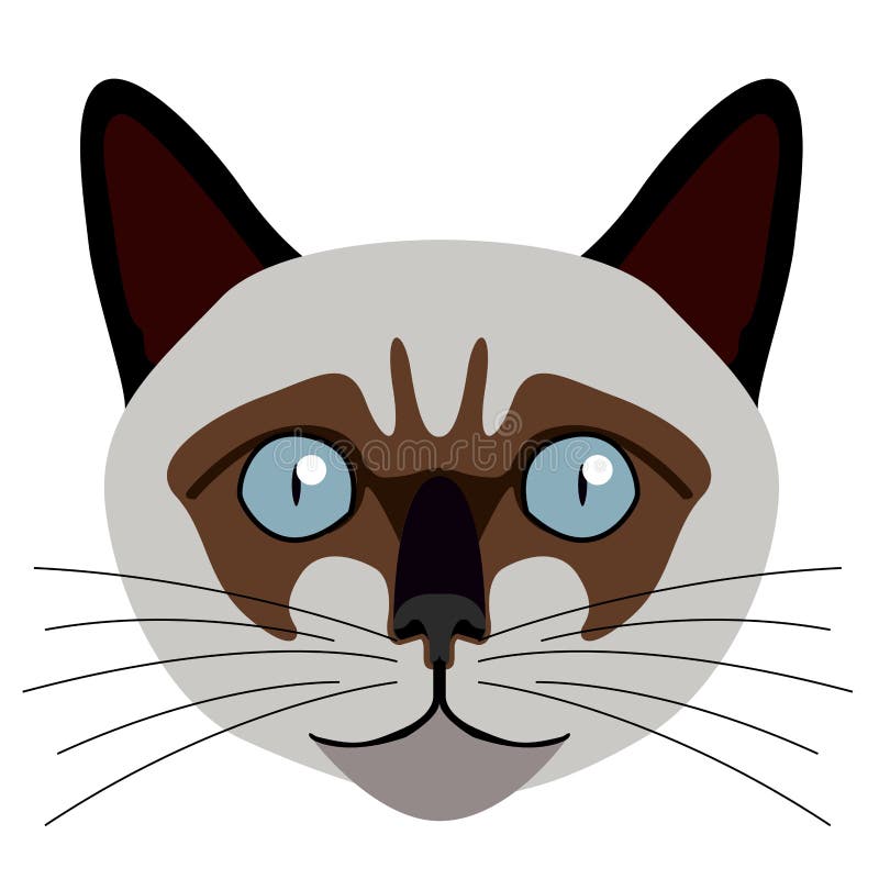 Avatar D'un Chat Races De Chat Illustration de Vecteur - Illustration ...