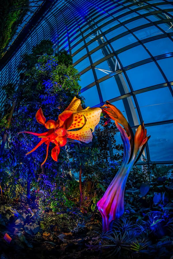 Avatar -the Experience at Clouds Forest Editorial Stock Photo - Image ...