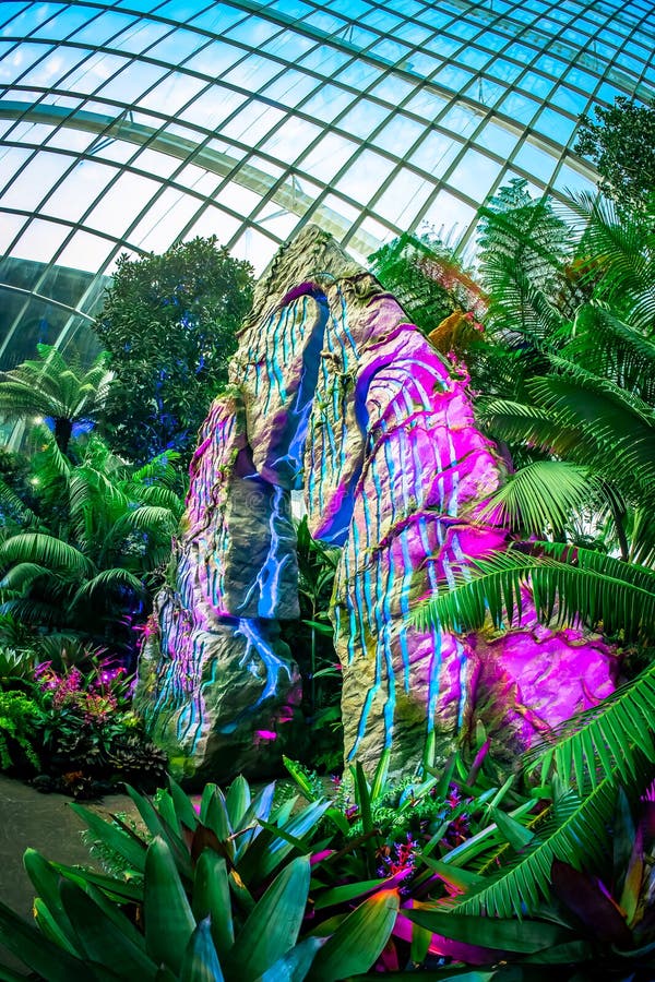 Avatar -the Experience at Clouds Forest Editorial Stock Photo - Image ...