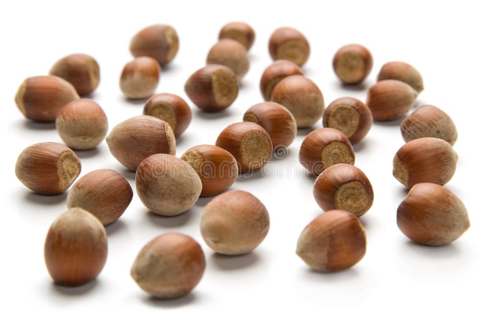 Avellanas foto de archivo. Imagen de cosecha, grieta, cobarde - 3408632