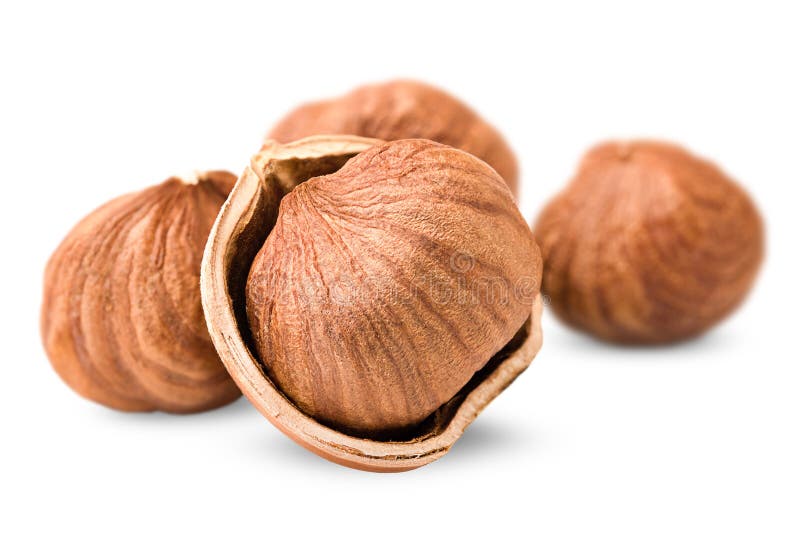 Avellanas foto de archivo. Imagen de bocado, frente - 262106526