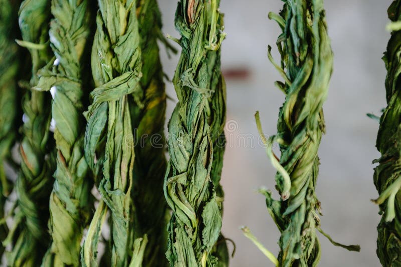 Aveluk horse sorrel dried stock photo. Image of sorrel - 100475552