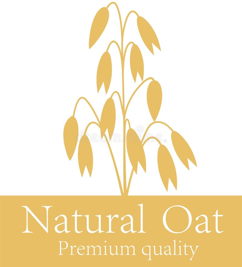 Avena ilustración del vector. Ilustración de campo, avena - 49162834