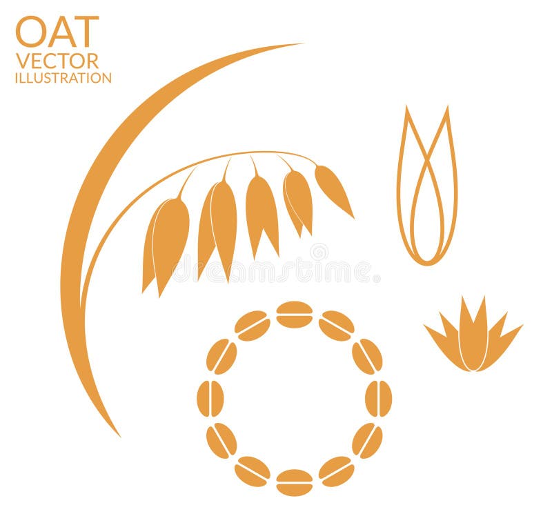 Avena ilustración del vector. Ilustración de amarillo - 48329905