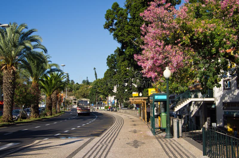 Avenida Do Mar, Funchal, Madeira. Editorial Image - Image of street ...