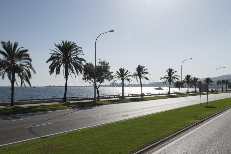 Avenida Gabriel Roca, Palma De Mallorca Foto de Stock - Imagem de ...