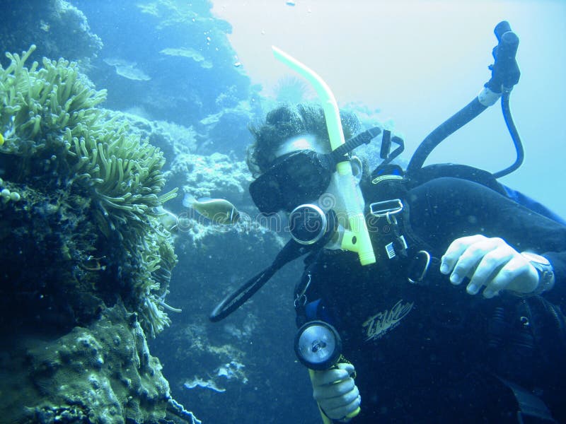 Aventura Del Buceo Con Escafandra Imagen de archivo - Imagen de ...