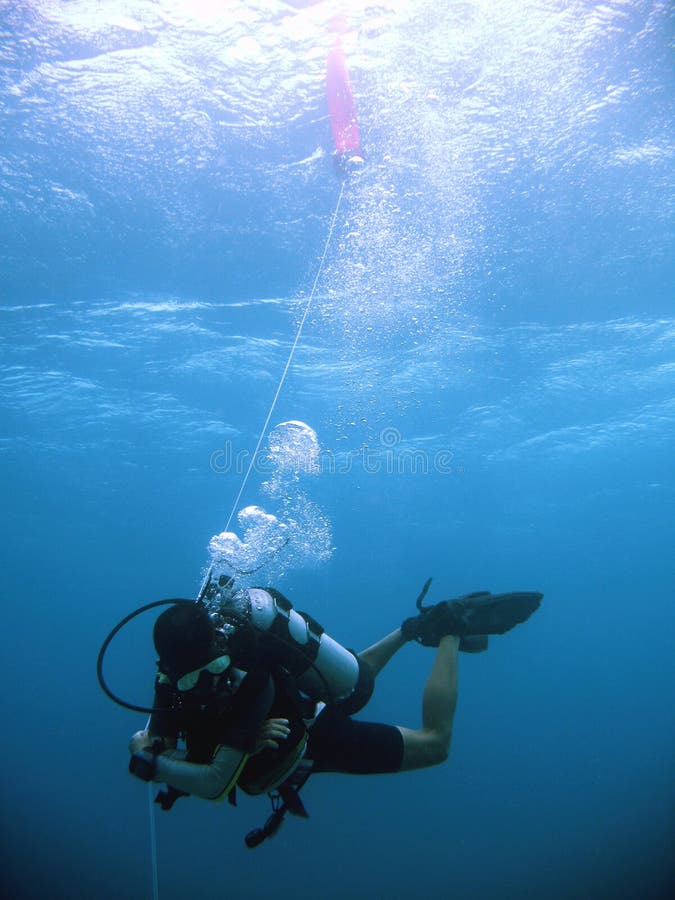 Aventura Tropical Del Buceo Con Escafandra Imagen de archivo - Imagen ...
