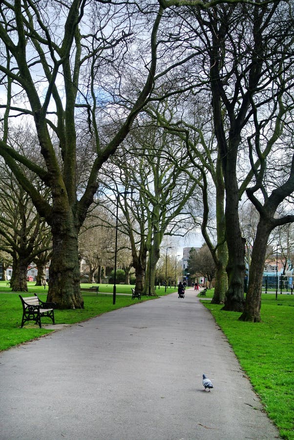 Avenue in london park stock photo. Image of landscape - 96118830