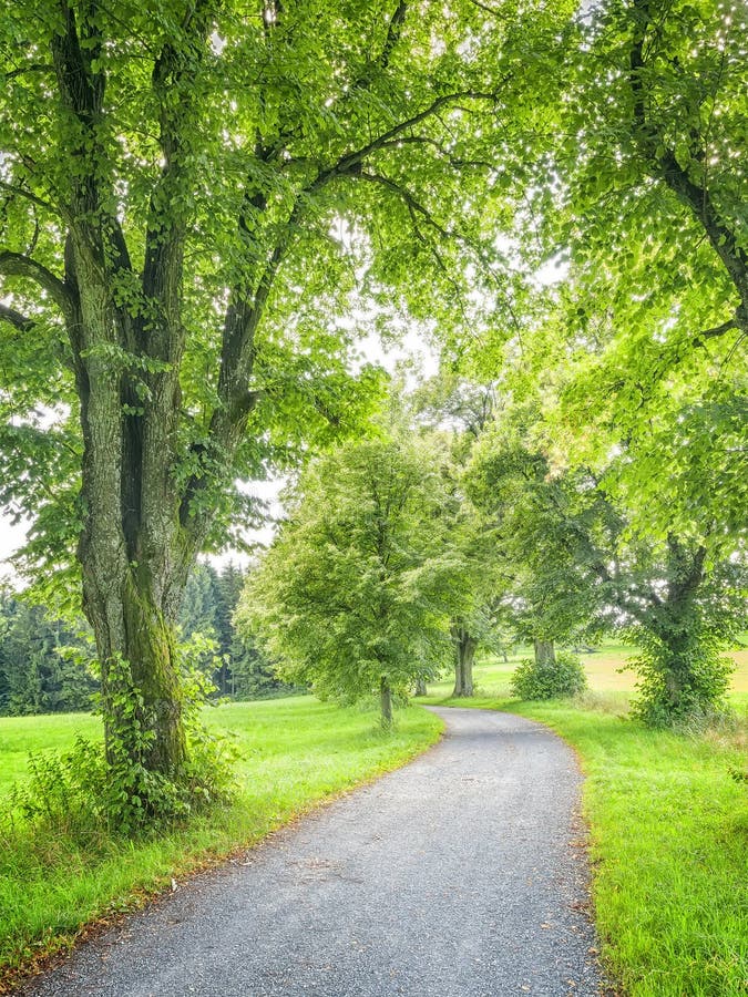 2,145 Wallpaper Beauty Green Nature Street Stock Photos - Free ...