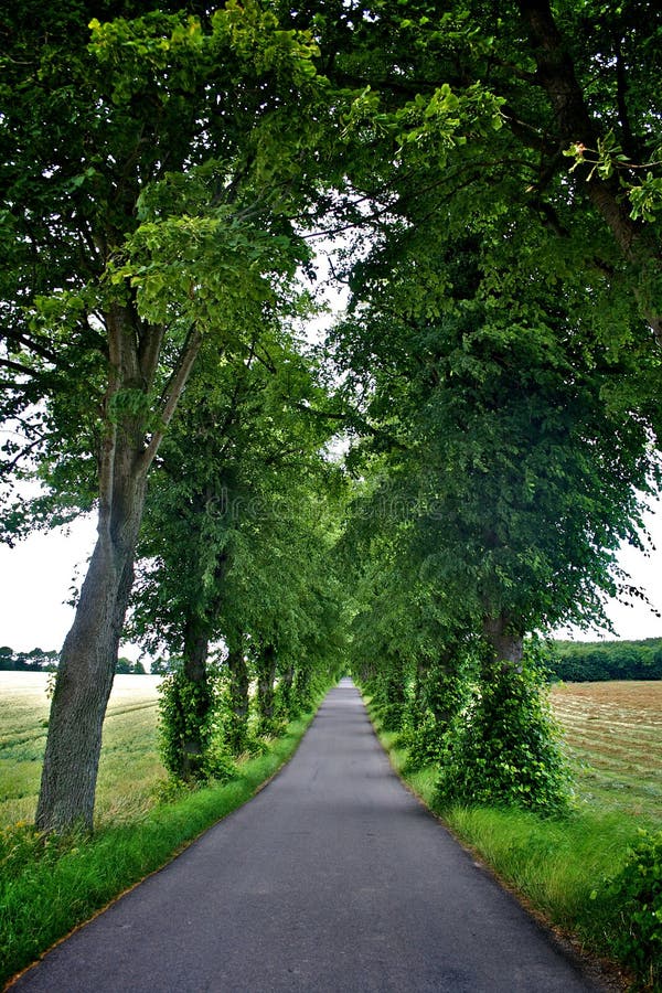 Danish landscape stock photo. Image of seasonal, denmark - 1028378