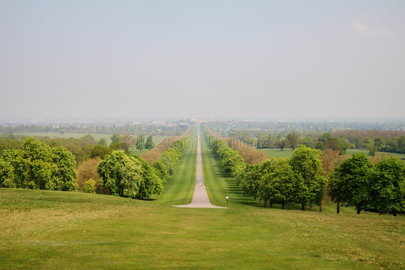 Avenue of Trees on the Long Walk at Windsor Stock Photo - Image of ...
