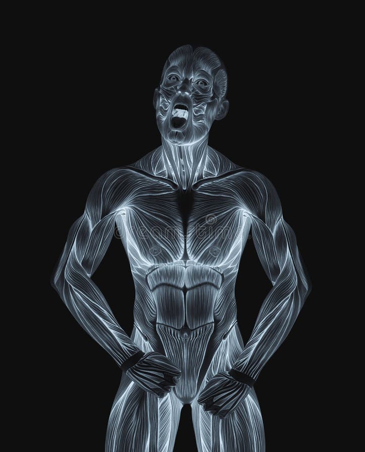 Average Man Muscle Maps is so Angry Stock Illustration - Illustration ...