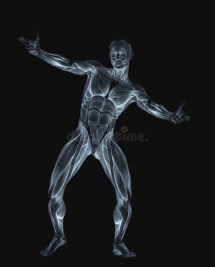 Average Man Muscle Maps is Doing a Free Hiphop Pose Stock Illustration ...