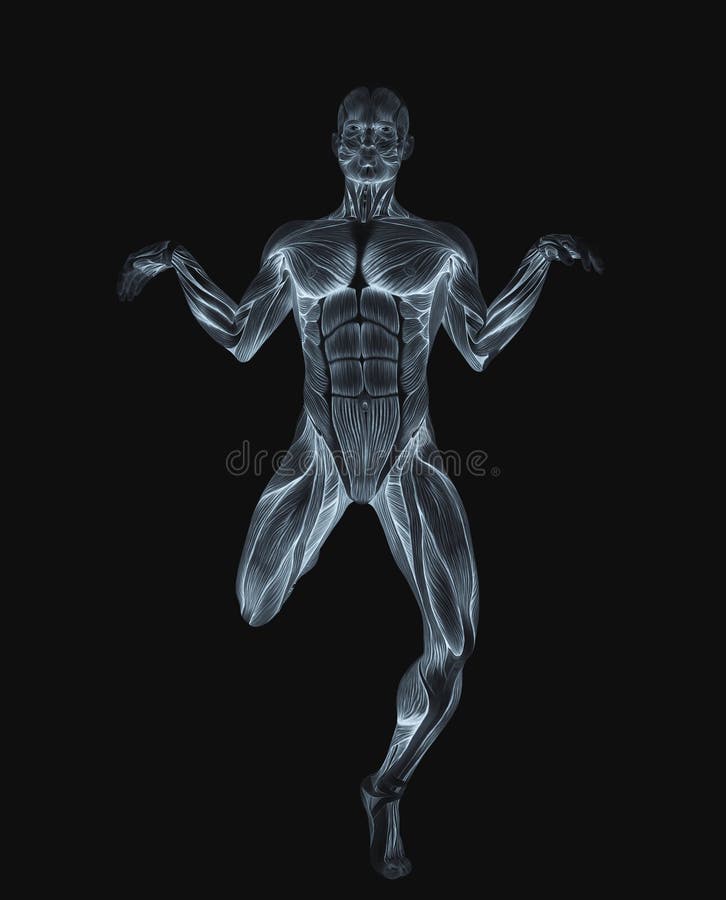 Average Man Muscle Maps is Doing a Funny Pose Stock Illustration ...