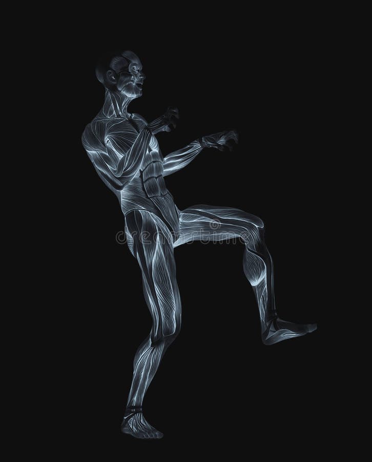 Average Man Muscle Maps is Doing a Halloween Pose Stock Illustration ...