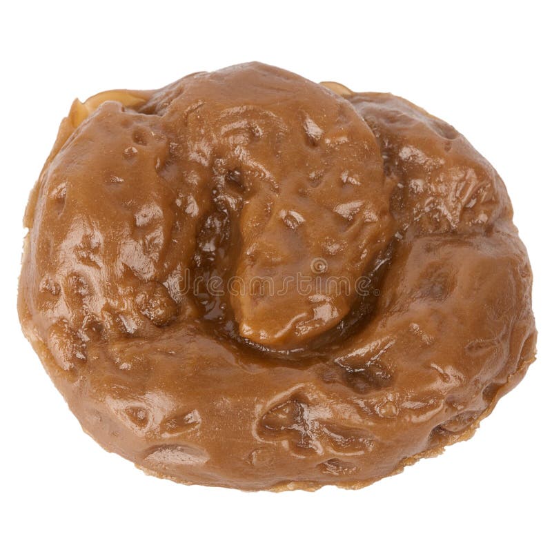 Fejka Avföring Och Cockroachies Arkivfoto - Bild av mänskligt ...