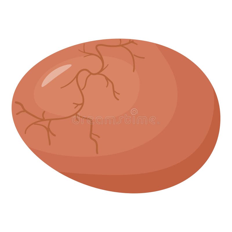 Avian Broken Egg Icon Cartoon Vector. Crack Eggshell Stock Vector ...