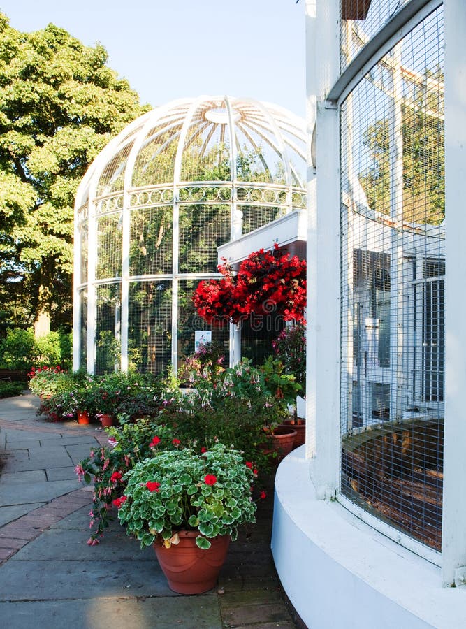Owl in the aviary stock image. Image of aviary, wildlife - 120642581