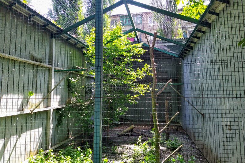 Aviary with Bird in City Zoo Stock Photo - Image of summer, people ...