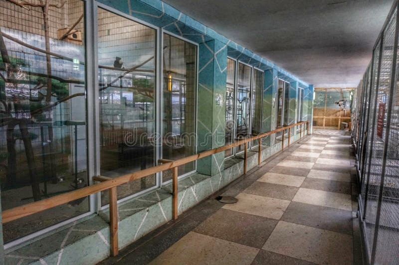 Building Old Cellule Stock Photos - Free & Royalty-Free Stock Photos ...