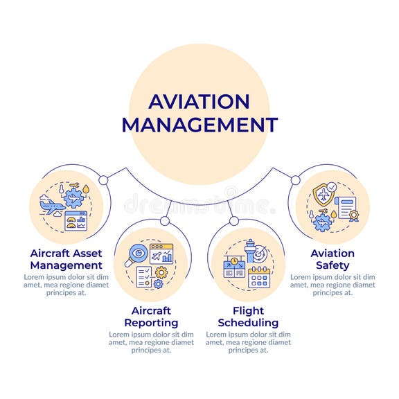 Aviation Management Organization Circular Diagram Infographic Stock ...