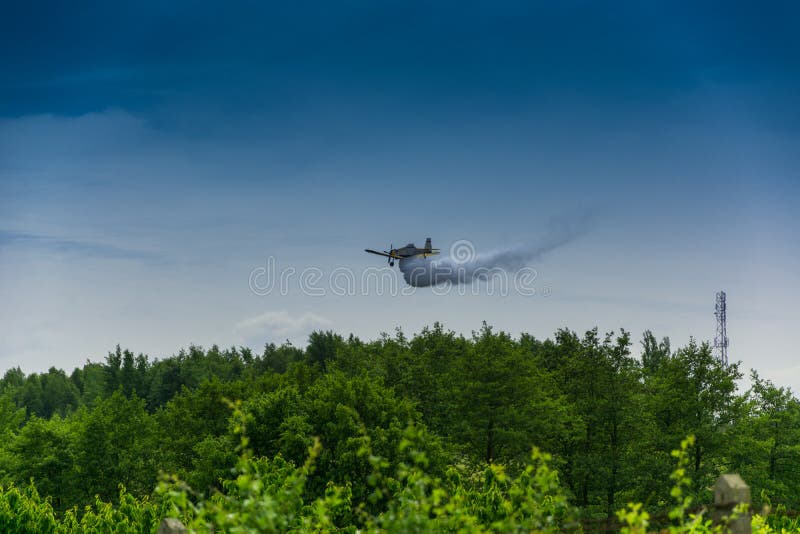 Avion De Sapeur-pompier, Canadair Photo stock - Image du bombardier ...