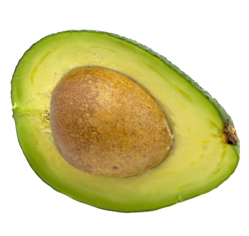 Avocado. stock photo. Image of vegetable, food, white - 17511376